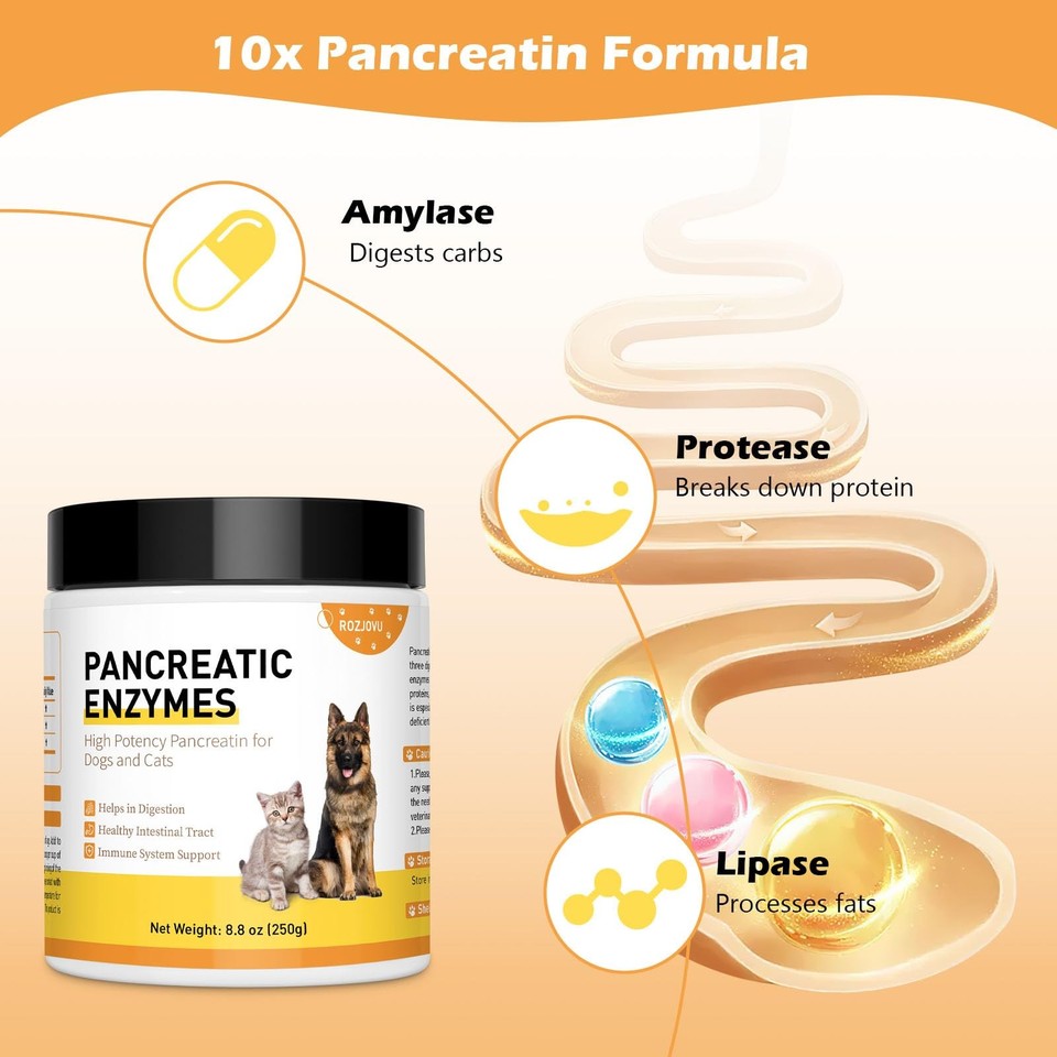 8.8 Ounces Pancreatic Enzymes for Dogs - 10x Pancreatin - Dog Digestive ...