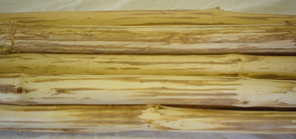 Large Log Furniture Logs, Hand Peeled Pine, kiln dried, Use your tenon ...