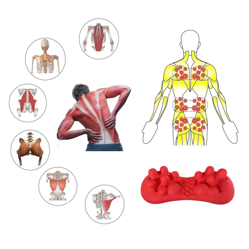 Back Trigger Point Massager, Gluteus Massager, Myofascial Release ...