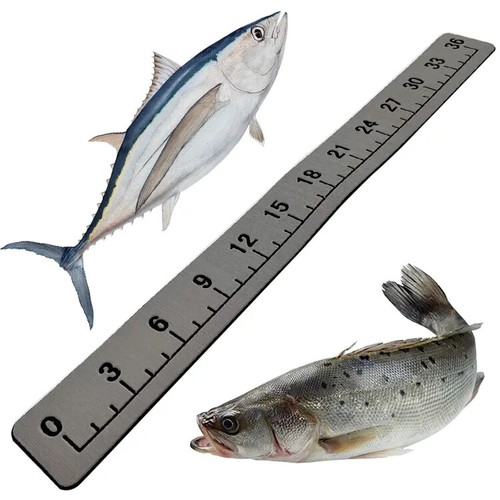 Fishing Ruler Measuring Stick Marine Eva Foam 36 Inch Fish Boat Measure ...