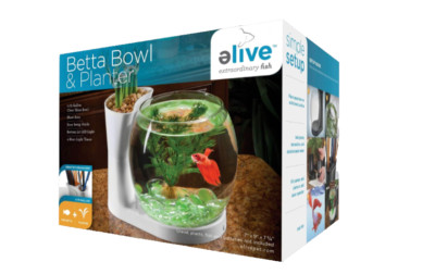 Elive Betta Fish Bowl / Betta Fish Tank with Planter, Small 0.75 Gallon ...