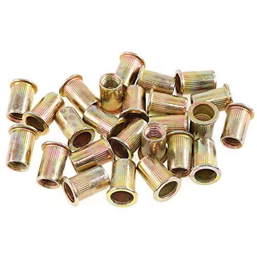 100pcs M10 Metric Zinc Plated Carbon Steel Rivet Nut Flat Head Threaded ...