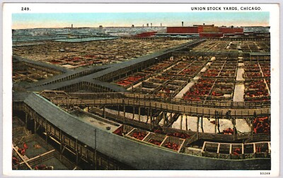 Postcard - Union Stockyards, Chicago, Illinois - Circa 1920s, Unposted ...
