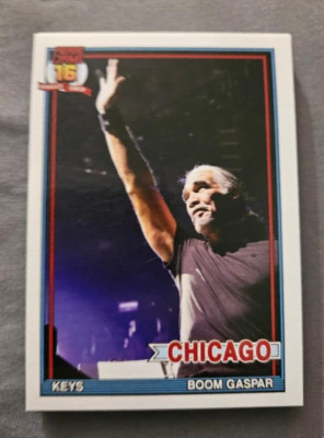 2016 Boom Gaspar Pearl Jam Chicago Wrigley Field Baseball Trading Cards ...