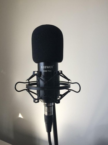 Neewer NW-700 Professional Studio Recording Condenser Microphone for ...