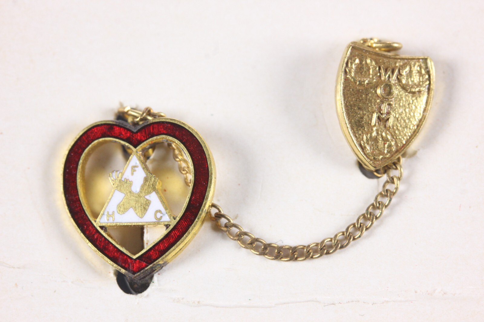 WOTM Women's Oder Of The Moose Lodge & FHC Faith Hope Charity Pins | eBay