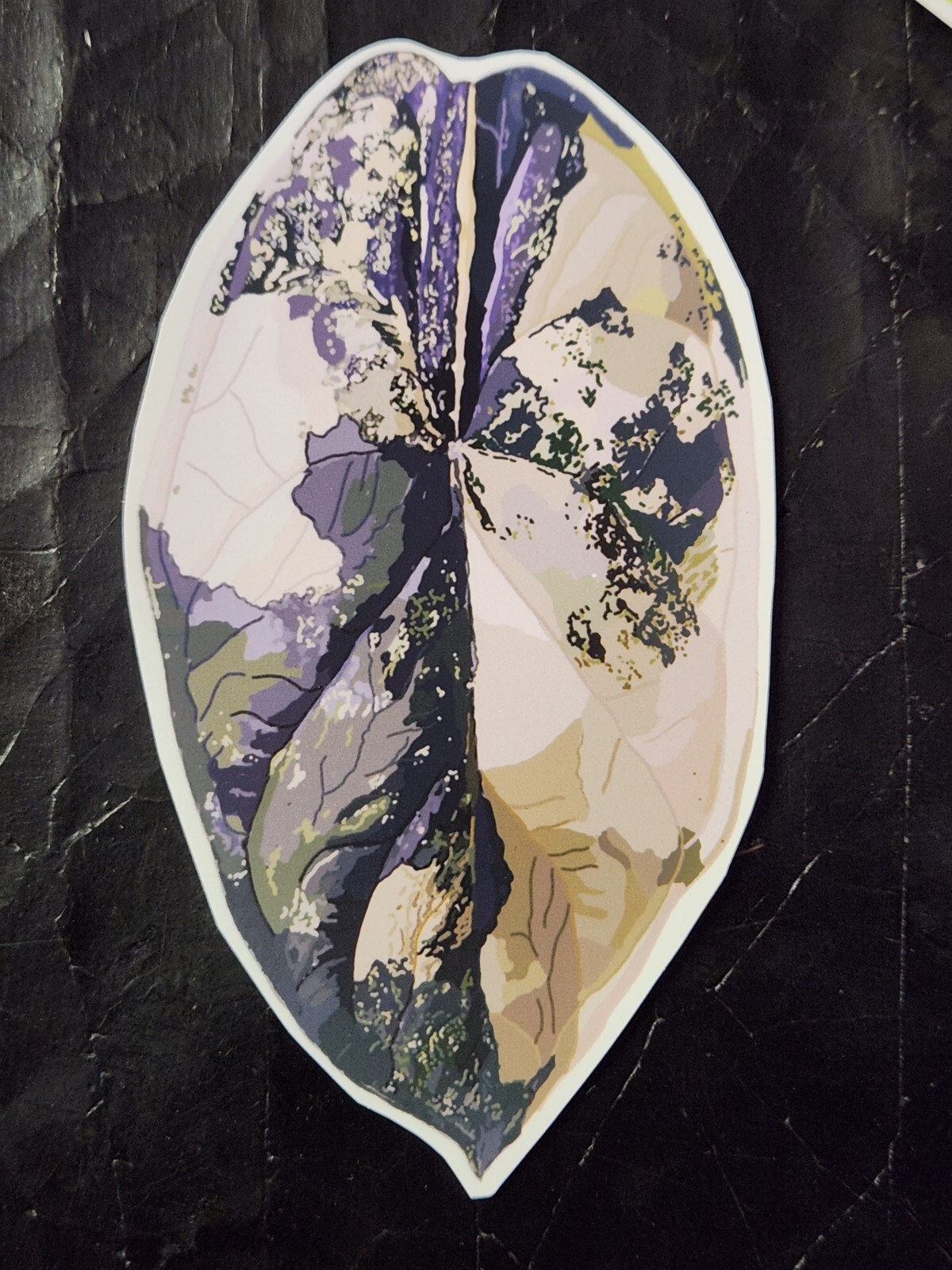 Large Variegated Dragonscale Alocasia Sticker | eBay