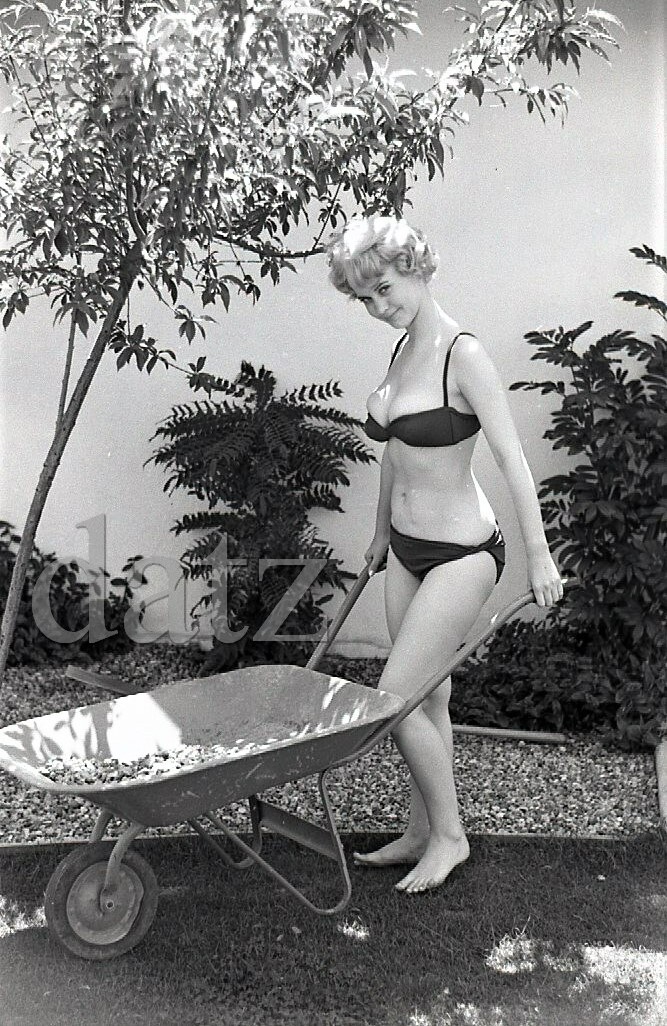 1960s Negative Sexy Blonde Pinup Girl Gloria Dawn Cheesecake T448449 Ebay