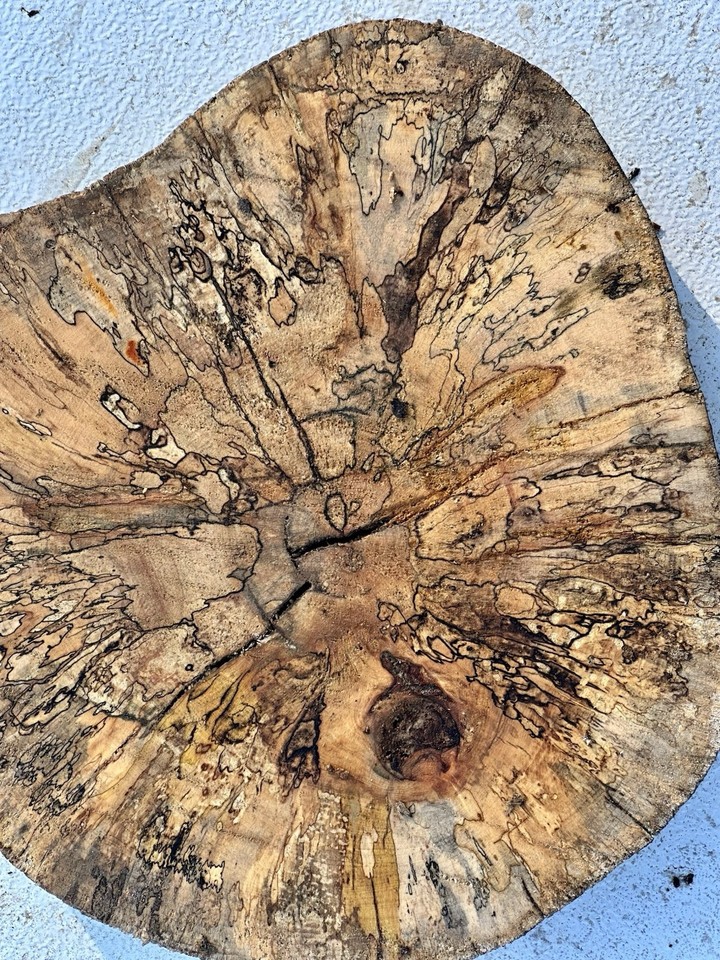 S3 Spalted Black Line Maple Tree Slice Round 16x2.5-3 12%Mc Epoxy ...