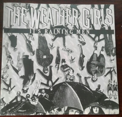 It's Raining Men -The Weather Girls 12" Vinyl Single | eBay UK