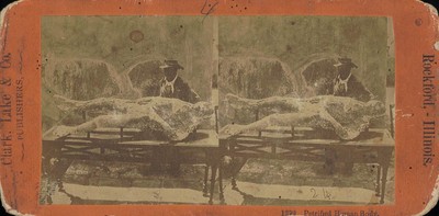 Petrified Human Body WU-D22-0055 | eBay