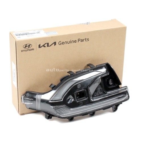 Genuine 87624S8000 Outside Door Mirror Lamp Right For Hyundai Palisade ...