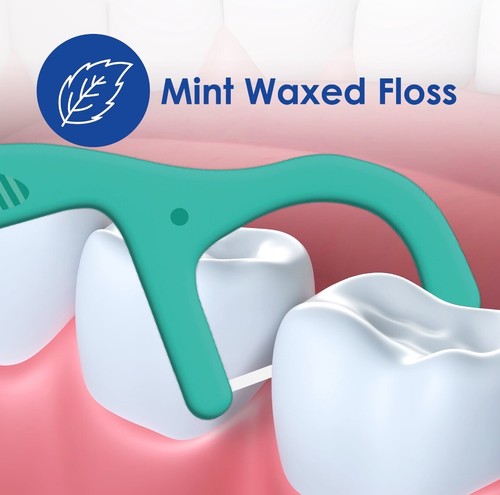 3 Pack Dr. Fresh Kool Floss, Mint Waxed Dental Flossers, 60 Count | eBay