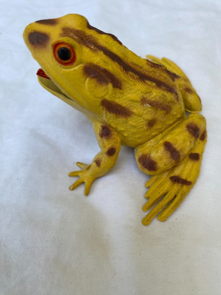 Vintage Squeaker Frog Rubber Toy NEW | eBay
