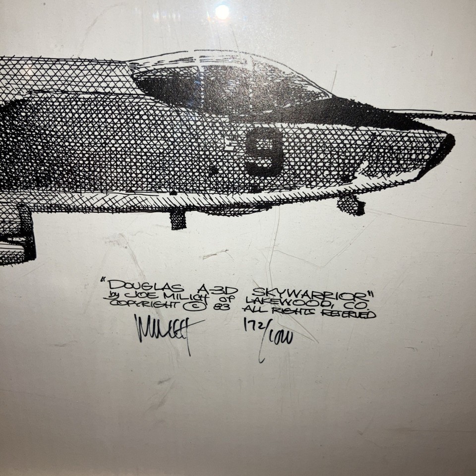 Joe Milich Aviation Framed Art Print Signed 20 X 16 Douglas Skywalker ...