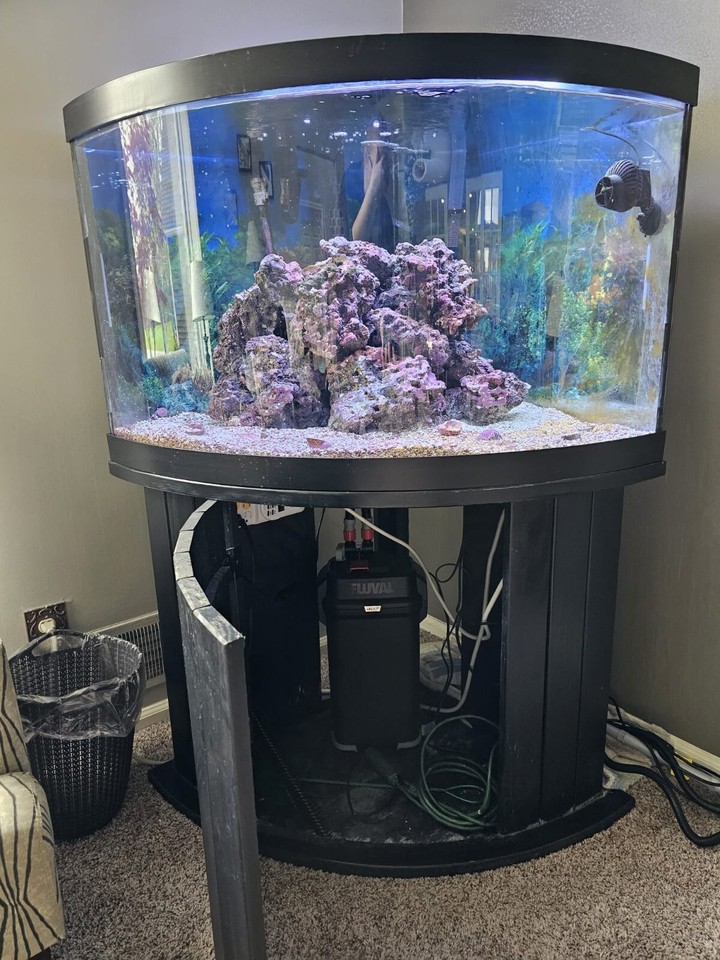 55 Gallon Corner Tank + Awesome Extras! | eBay