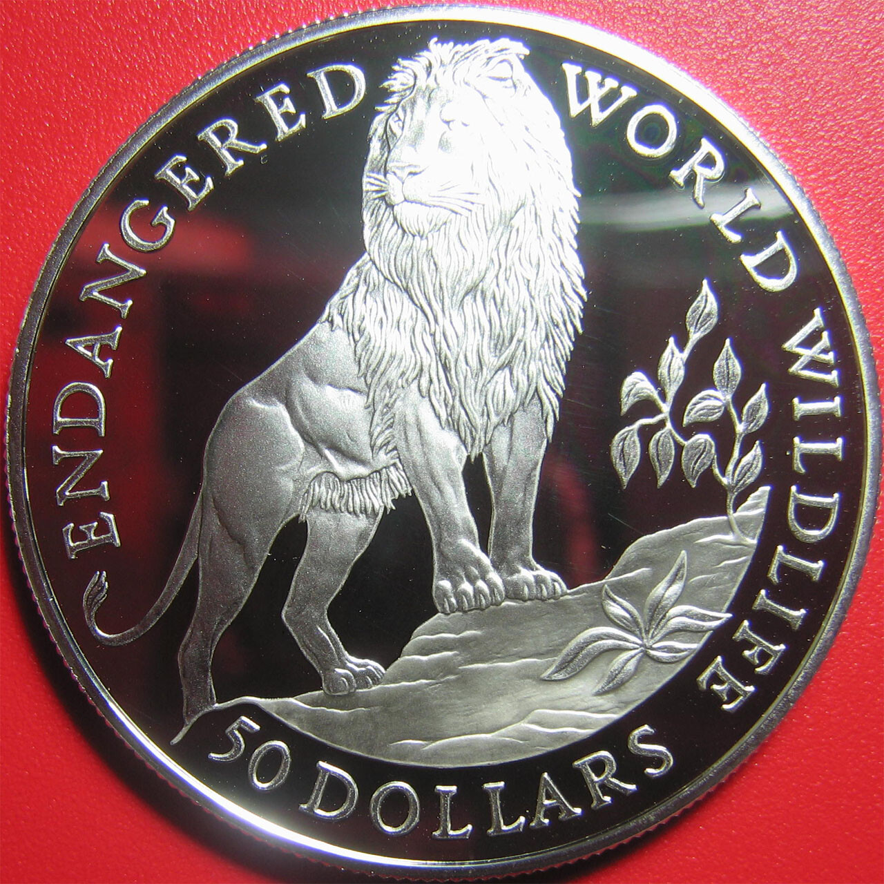 1990 COOK ISLANDS $50 SILVER PROOF SENEGALESE LION ENDANGERED WILDLIFE ...