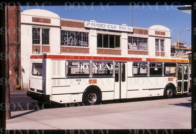 SF MUNI. NEOPLAN Bus #8009. San Francisco (CA). Original Slide 1999. (A ...