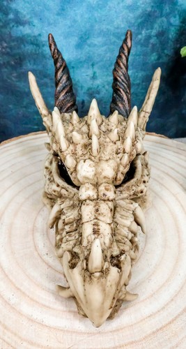 Ebros Jurassic Beowulf Elder Dragon Head Skull Realistic Fossil Statue ...