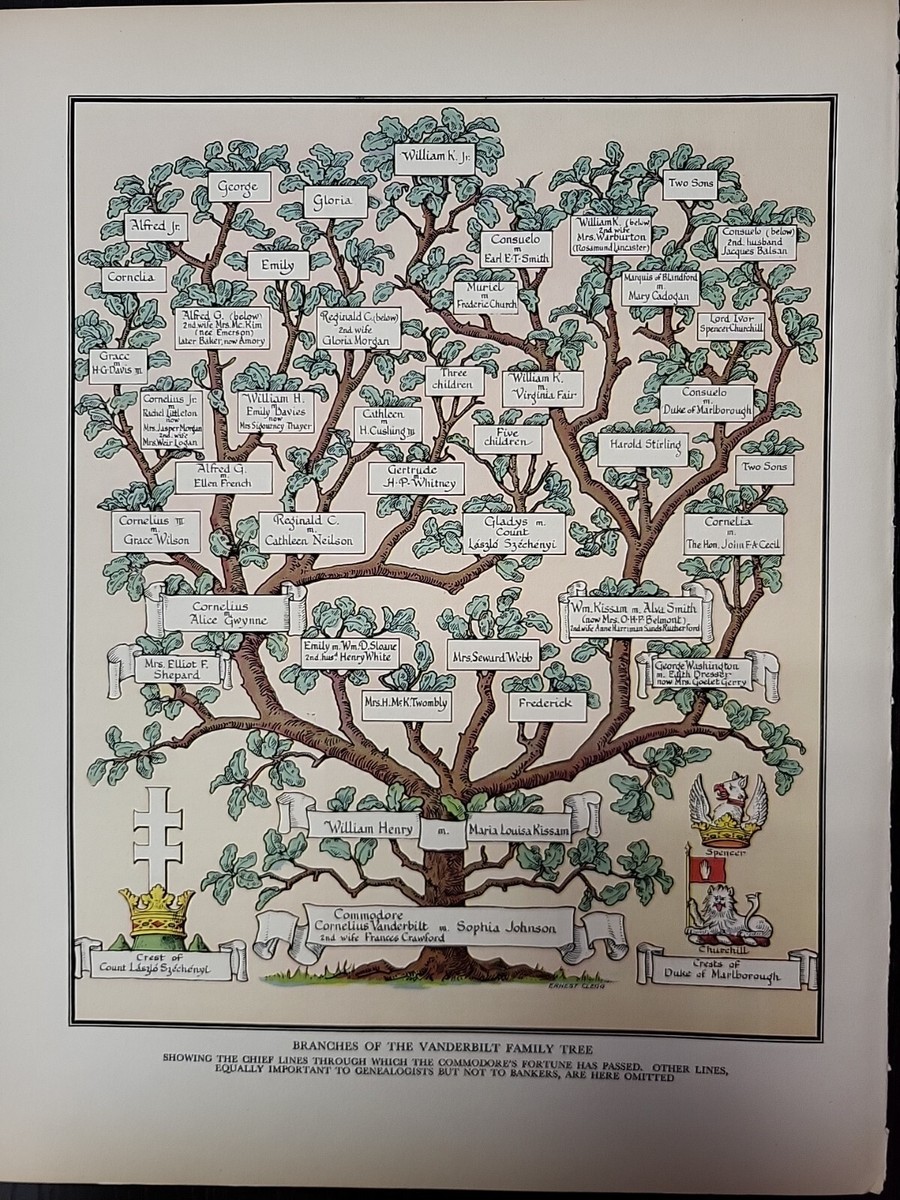 Vanderbilt Family Tree Chart Explore Our Guide To Craft The Vanderbilt