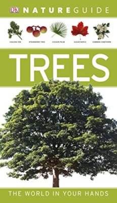 Nature Guide Trees (DK Nature Guide) by DK Book The Fast Free Shipping ...