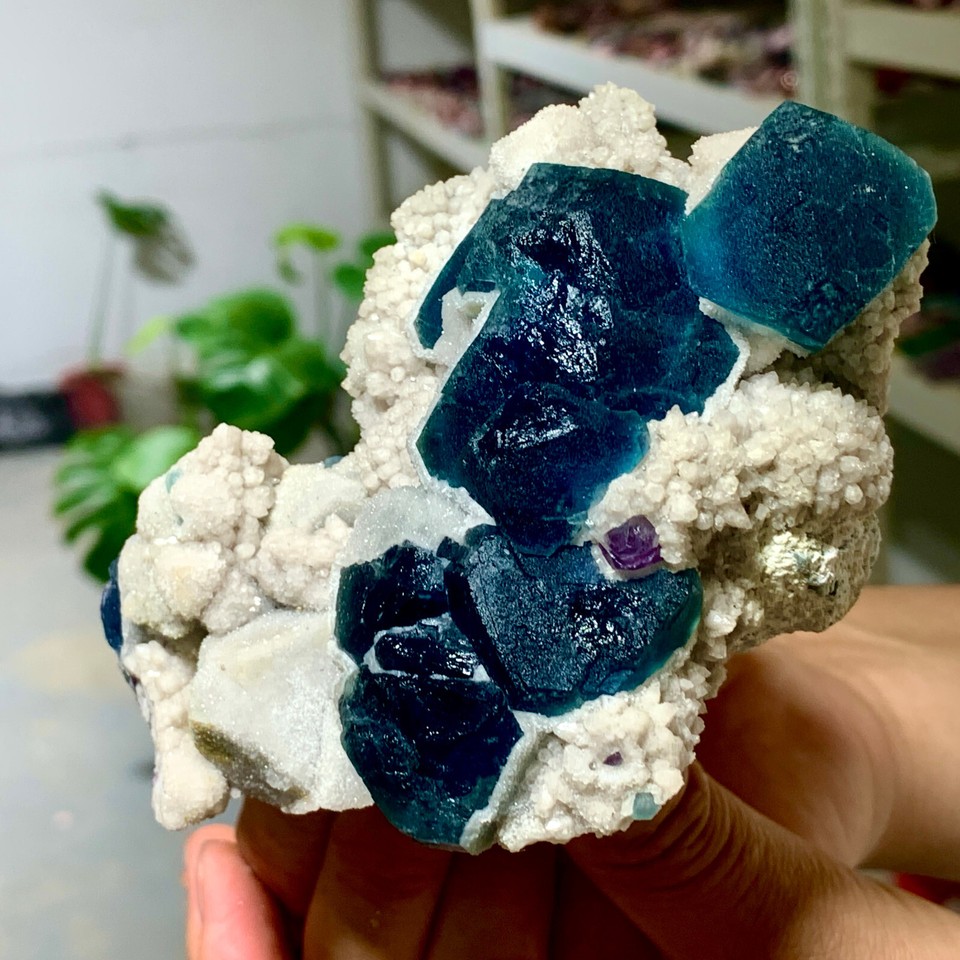 1.25LB Rare transparent blue cubic fluorite mineral crystal sample ...
