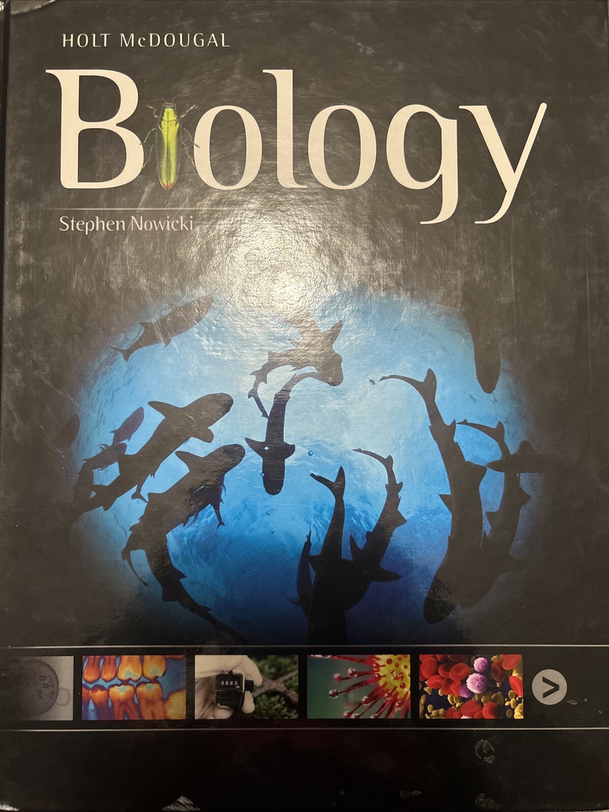 Holt McDougal Biology Textbook by Stephen Nowicki - 2015 Print - Like ...