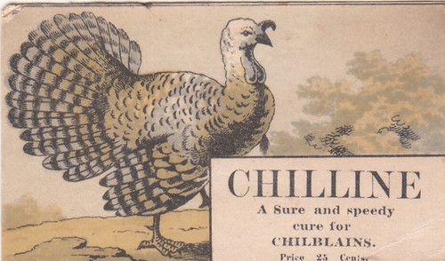 Chilline Medicine Cure for Chilblains Turkey Vict Card c1880s | eBay