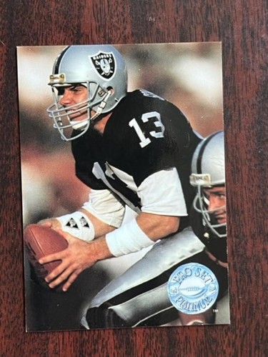 1991 Pro Set Platinum Football Card #213 Jay Schroeder MINT SHIPS FREE ...