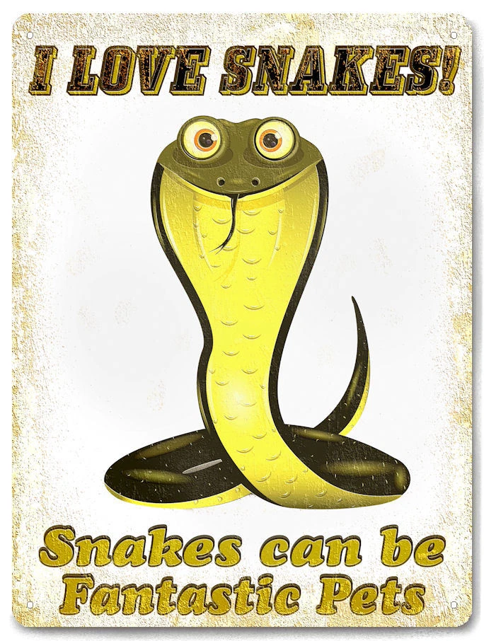 Funny Snake Pictures For Kids