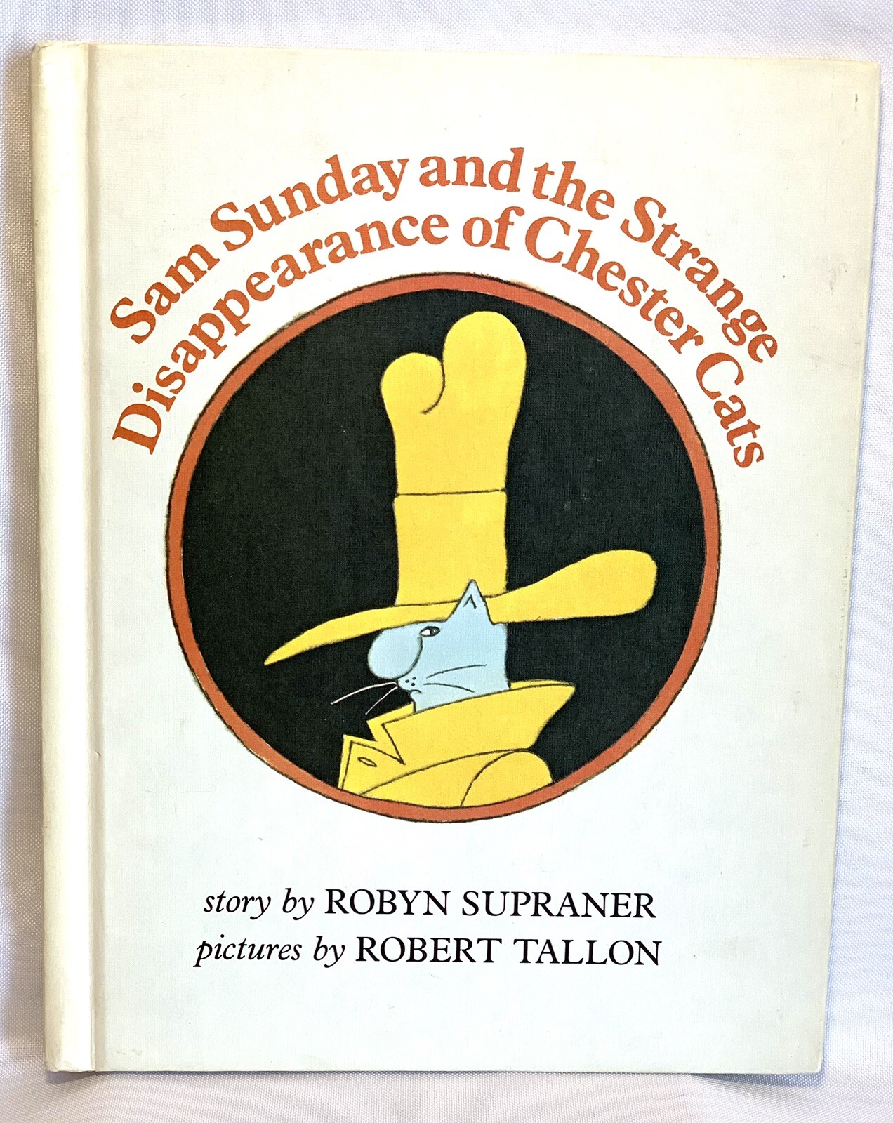 Sam Sunday & the Strange Disappearance of Chester Cats by Robin ...