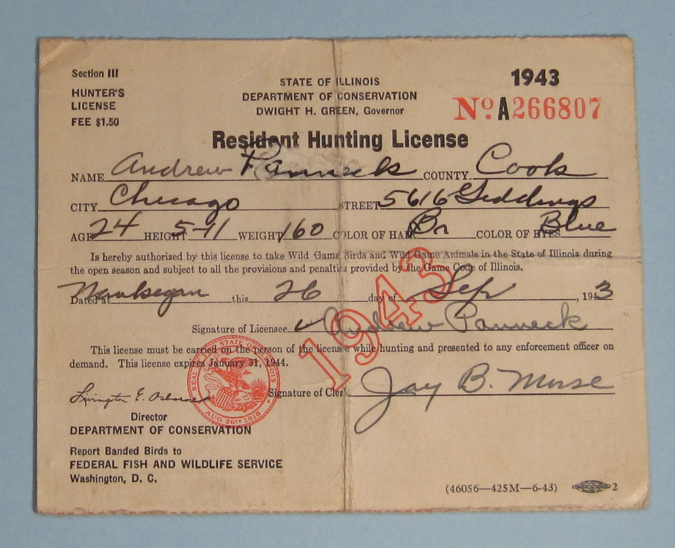 1943 Illinois Department of Conservation Resident Hunting License ...