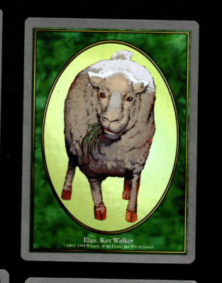 MRM ENGLISH Sheep - Mouton Token MTG Magic Unglued | eBay