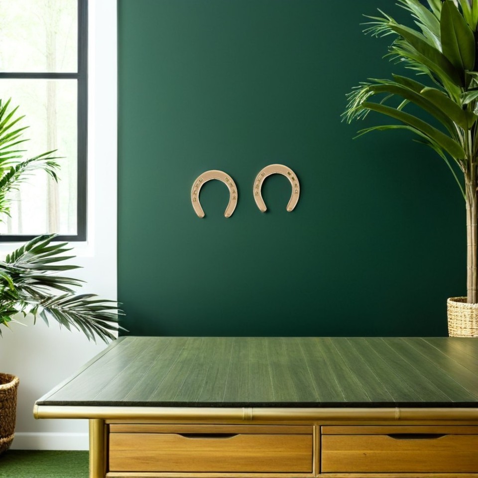 2pcs Cast Iron Horseshoe Wall Decor: 4 Holes On Each Side for Indoor Or ...