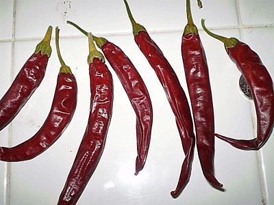 Mexican Finger Hots red chili pepper seeds NON GMO heirloom open ...