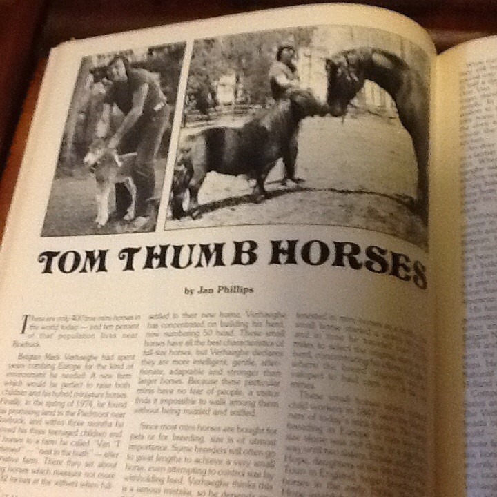 Sandlapper Magazine February 1977 Roebuck SC Mini-Horse Farm, Converse ...