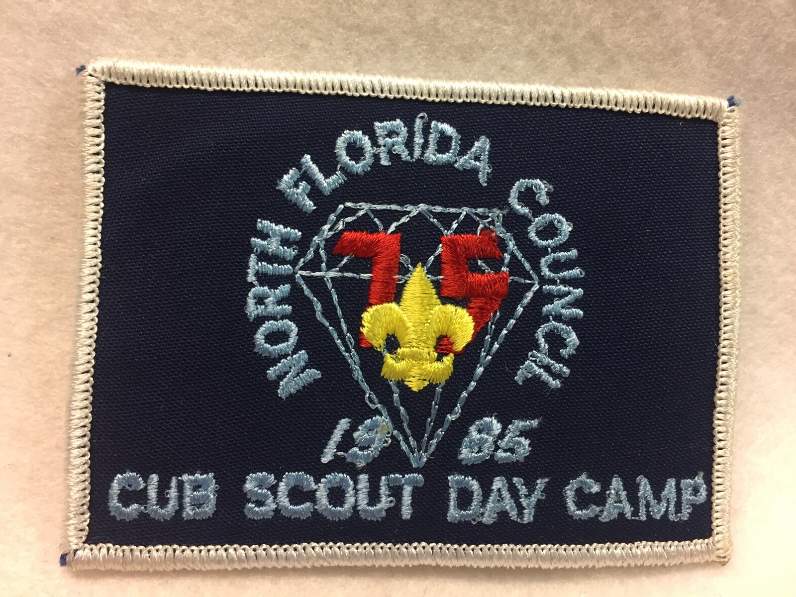 (b33) Boy Scouts - North Florida Council - Cub Scout Day Camp patch | eBay