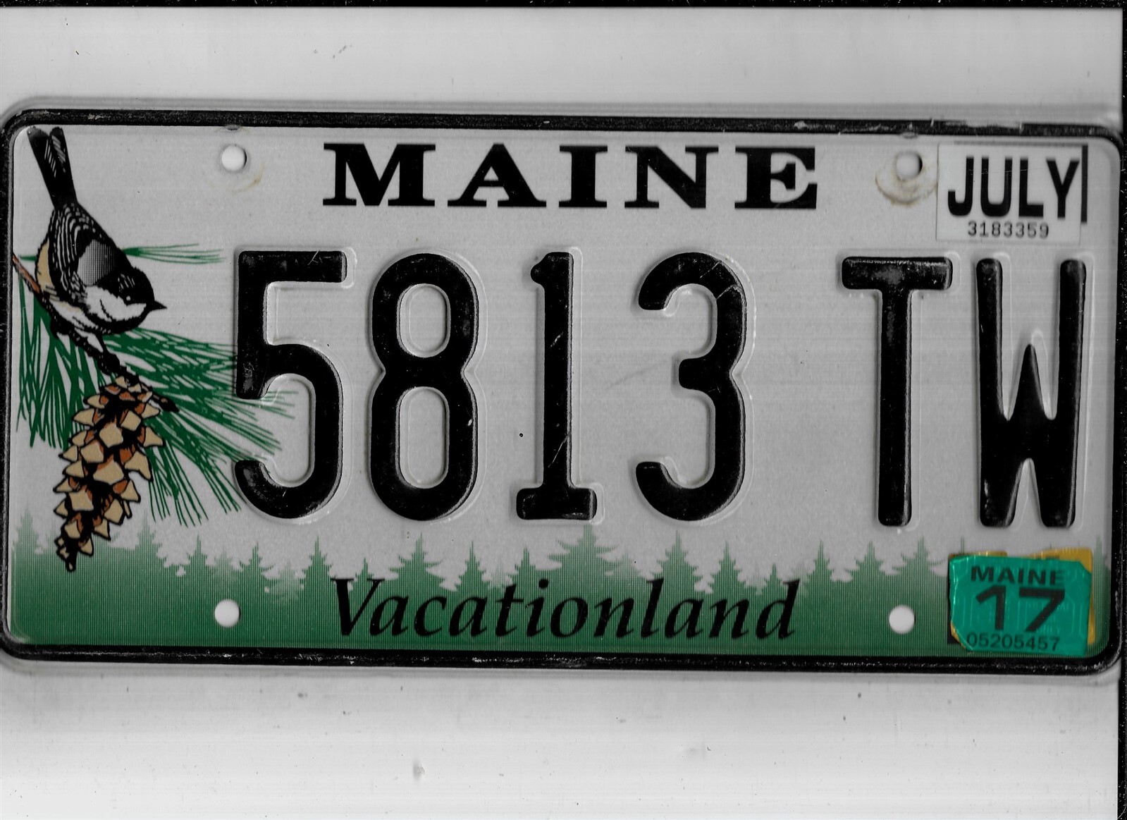 MAINE passenger 2017 license plate "5813 TW" | eBay