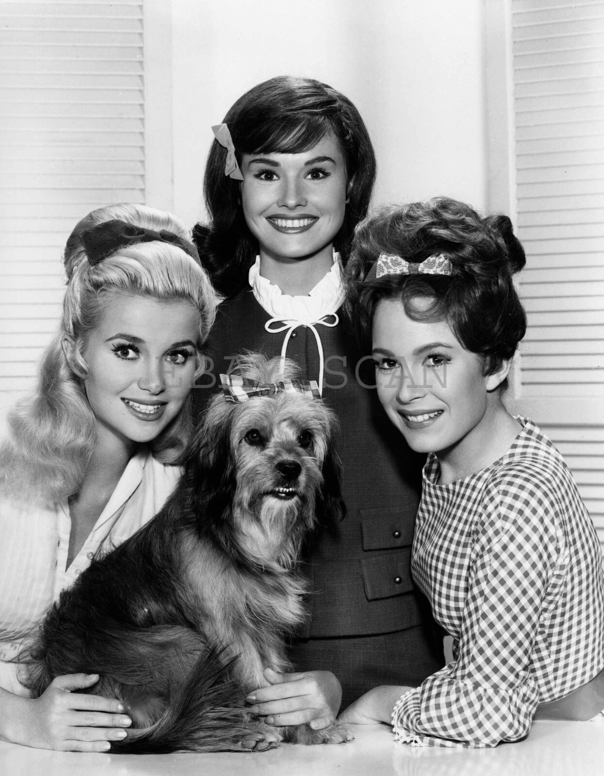 Gunilla Hutton Petticoat Junction