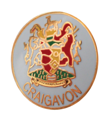 Craigavon Northern Ireland Crest Small Pin Badge | eBay