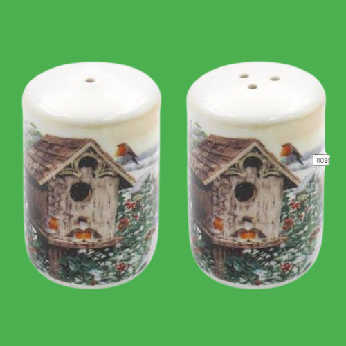 Salt and Pepper Shakers Bone China Cruet Set Robin Red Breast Birds ...
