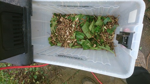 Qualcast SDS2810 2800W Electric Garden Shredder for sale online | eBay