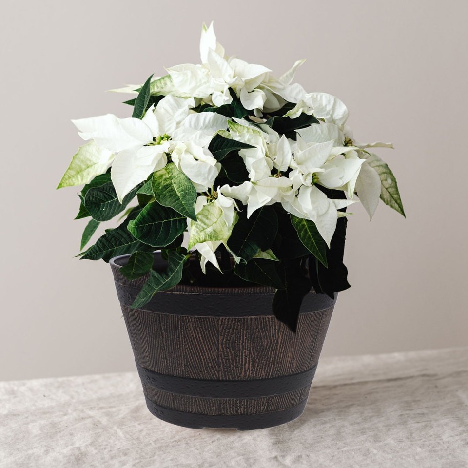 Vasi Piante Fioriera Da Esterno Resina Flowerpot Pentola Di Fiore | eBay