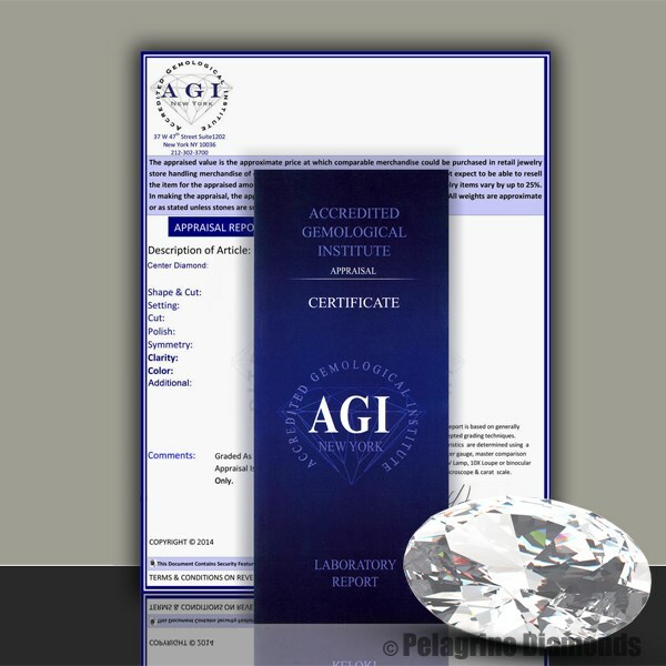 Agi Certification Logo NVIDIA Shatters Expectations: Leading The