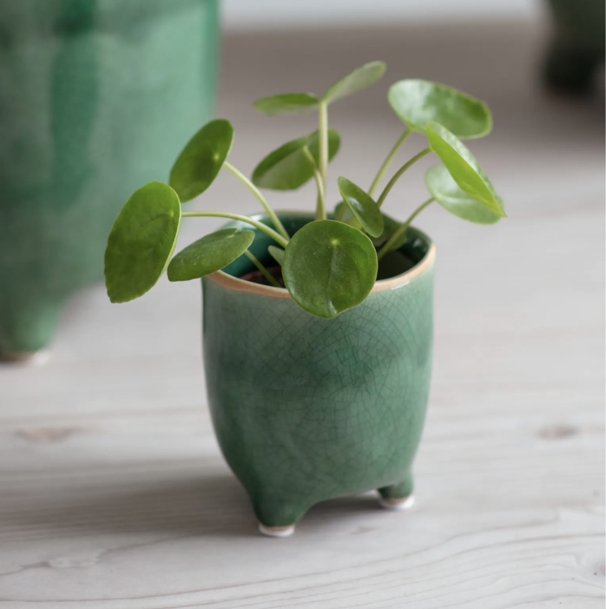 Forest Green Crackle Glaze Positano Ceramic Plant Pot Cover with Feet ...