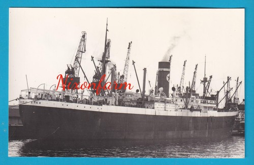 Original PC Size RP Blue Star Line DORIC STAR by G.A. Osbon | eBay UK