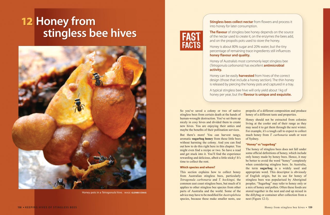 Tim Heard Australian Stingless Bees | Native Bee Book | OATH Beehive ...
