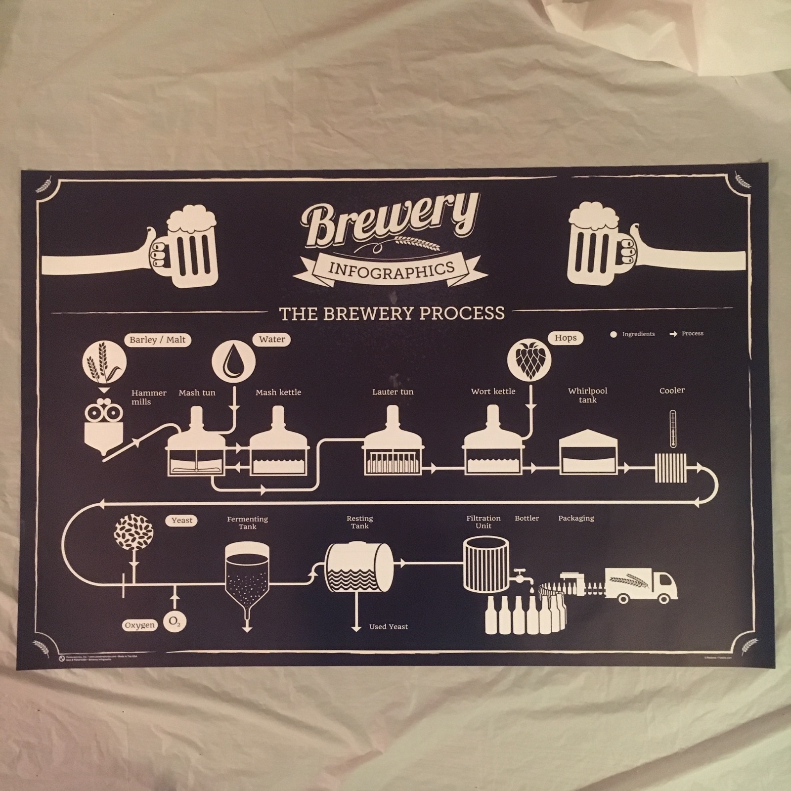 Hops Infographic Poster