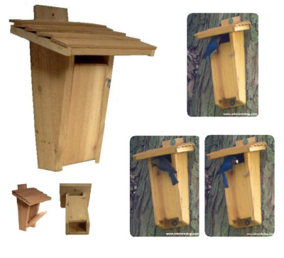 Ark Workshop Slot Entrance Cedar BLUEBIRD HOUSE box: IT WORKS! see pics ...