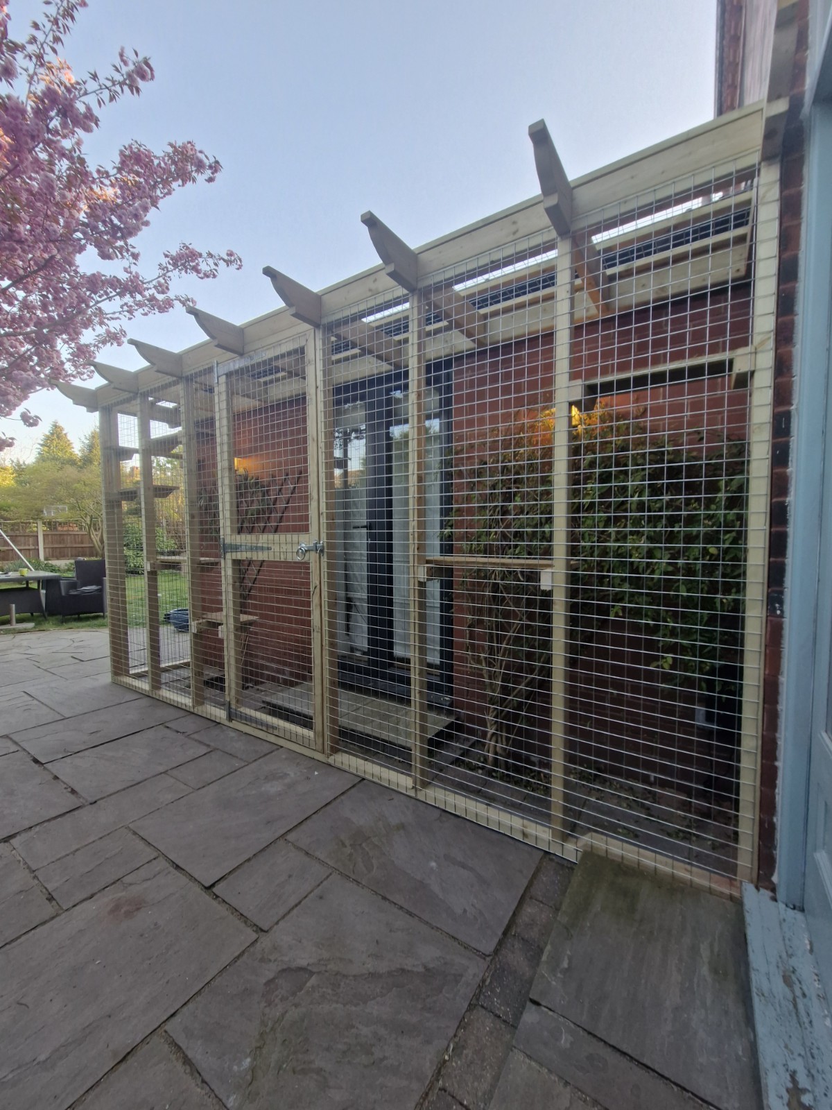 bespoke Catios and Animal Housing dog runs field shelters stables | eBay UK